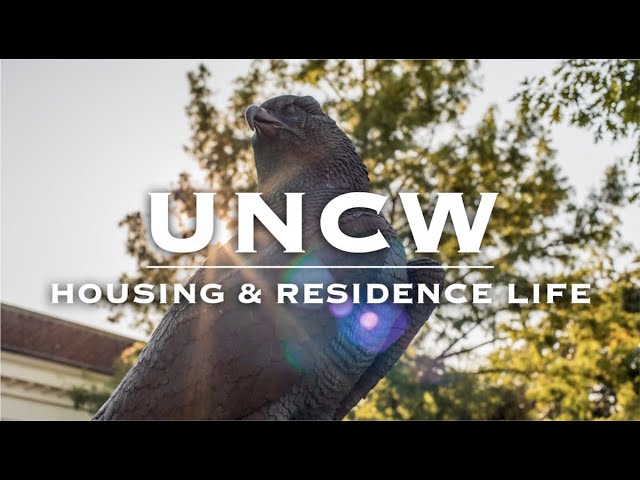 Cornerstone 143 K. Sahashi